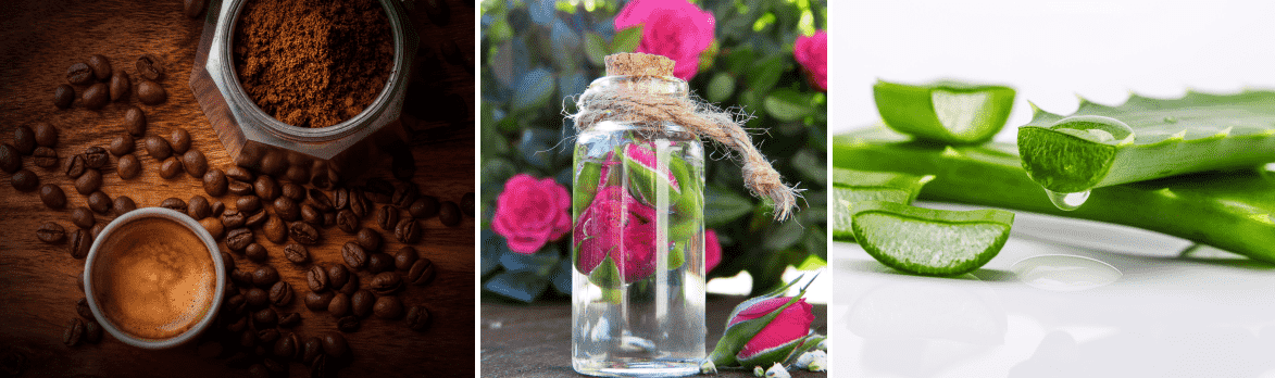 5 Easy Homemade Remedies For Soft Skin - Beauty Tips By Nim