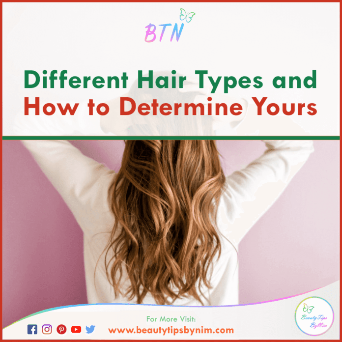 What Are The Different Hair Types and How to Determine Yours - Beauty ...