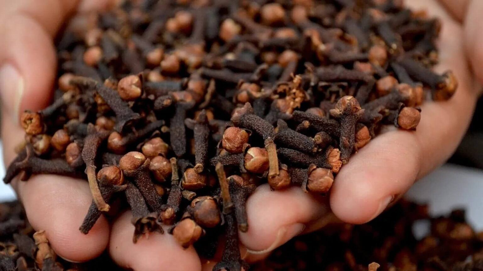 How to Use Cloves for Hair Growth at Home? - Beauty Tips By Nim